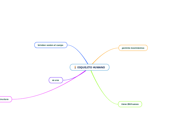 ESQUELETO HUMANO - Mind Map
